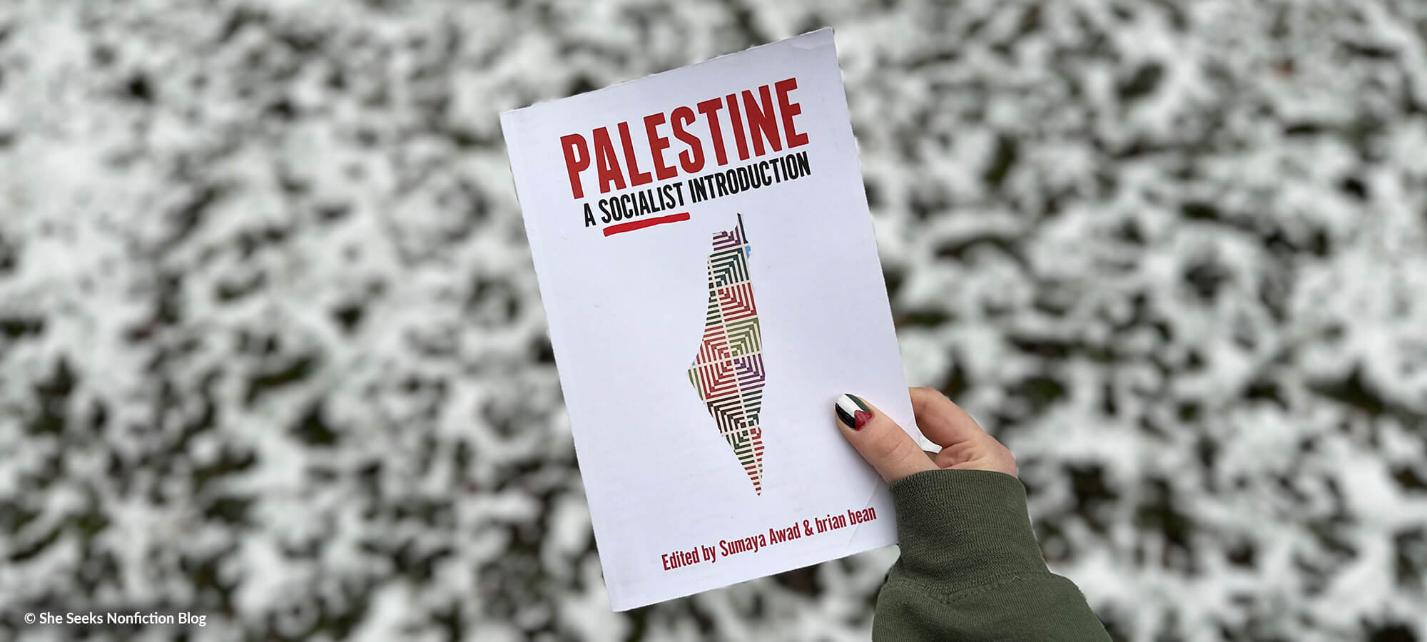 The Total Beginner's Book Review of Palestine: A Socialist Introduction ...